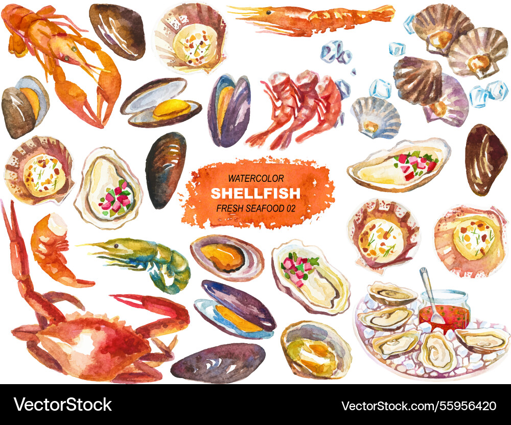 Watercolor painted shellfish clipart hand drawn Vector Image