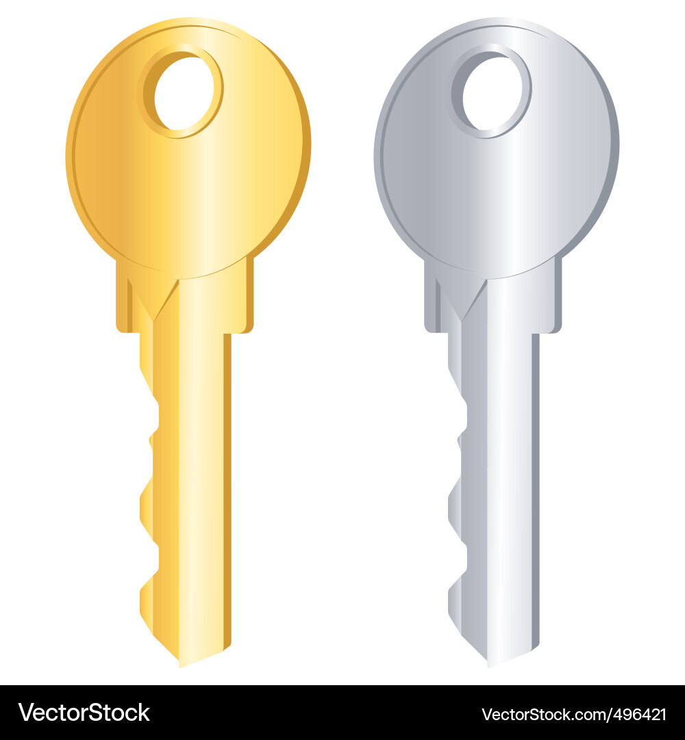 Gold and silver keys Royalty Free Vector Image