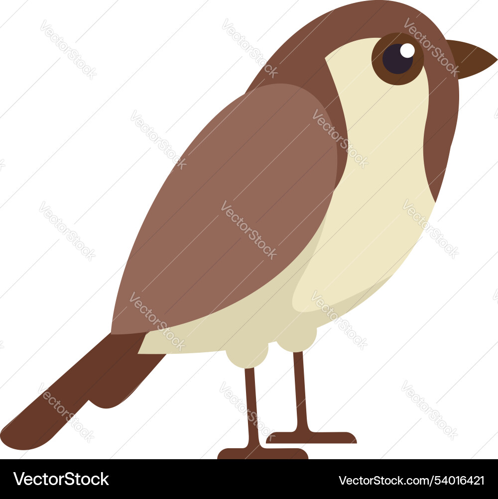 Kleine braune und beige Vogel stehende Seitenansicht