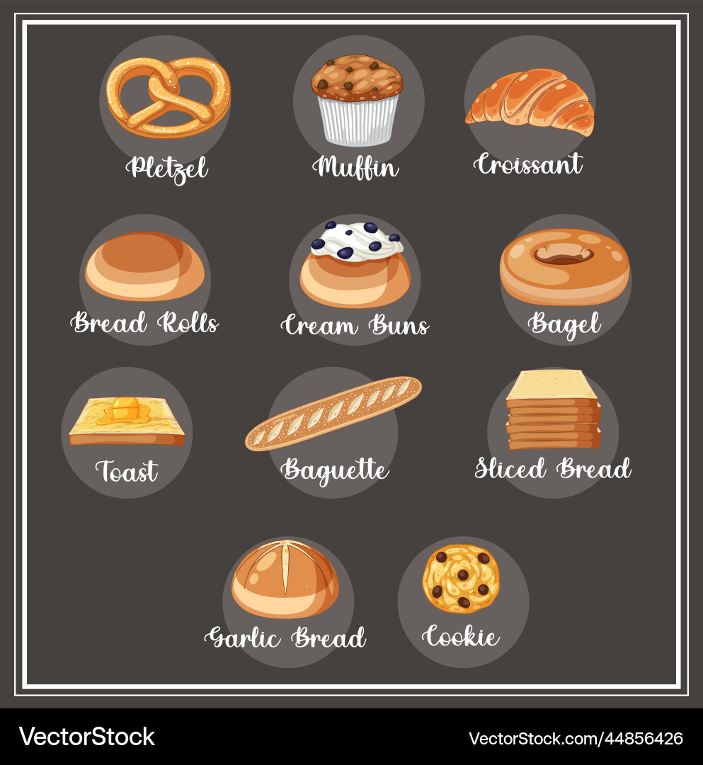 Different types of bread with name Royalty Free Vector Image