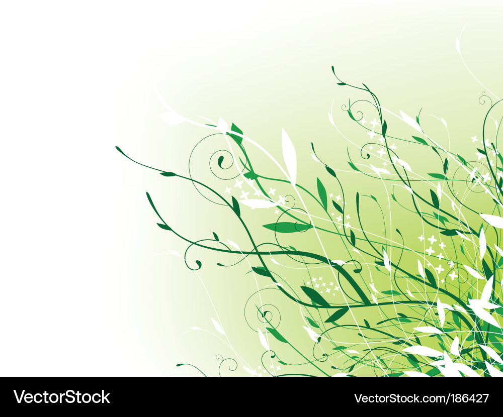 Floral Royalty Free Vector Image - VectorStock