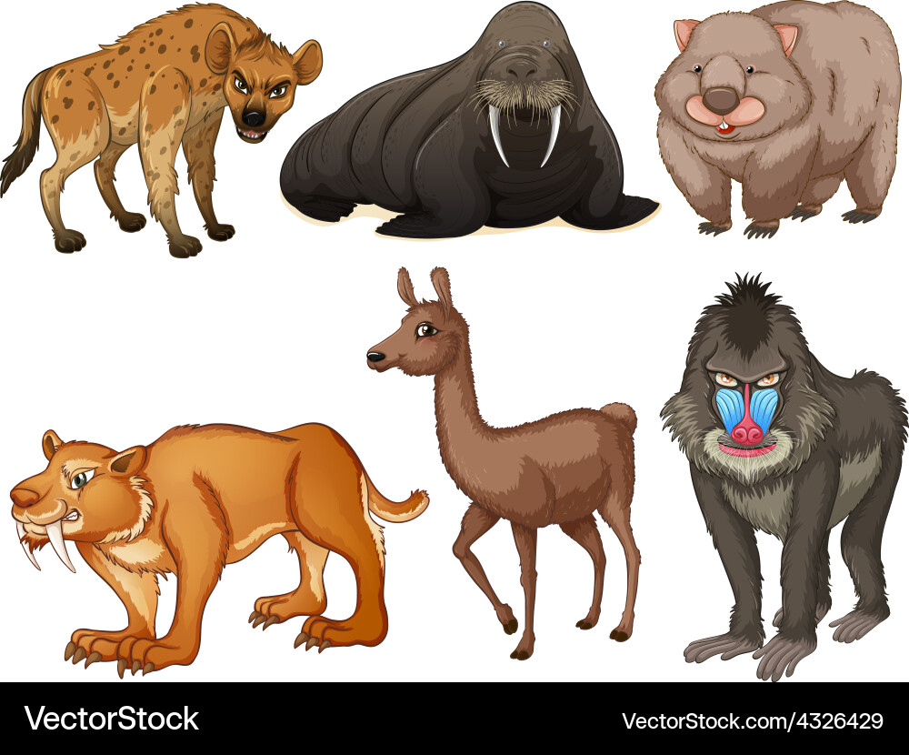 Rare animals Royalty Free Vector Image - VectorStock