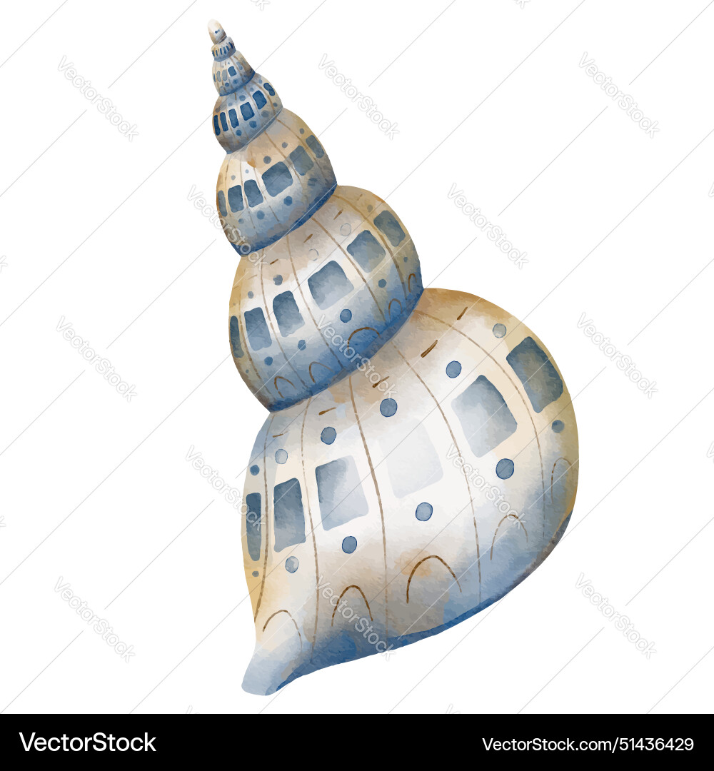 Seashell watercolor hand drawn Royalty Free Vector Image
