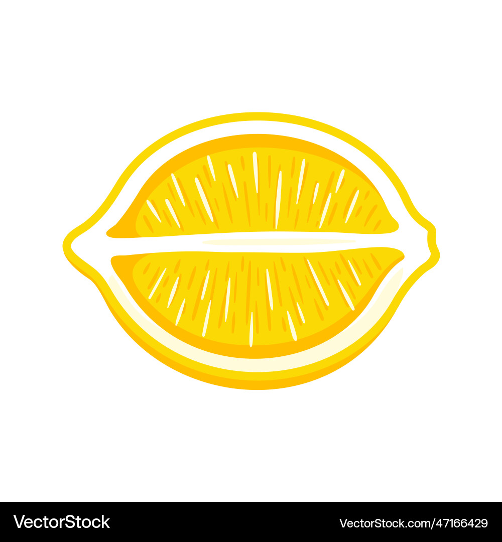 Yellow lemon isolated on white background Vector Image