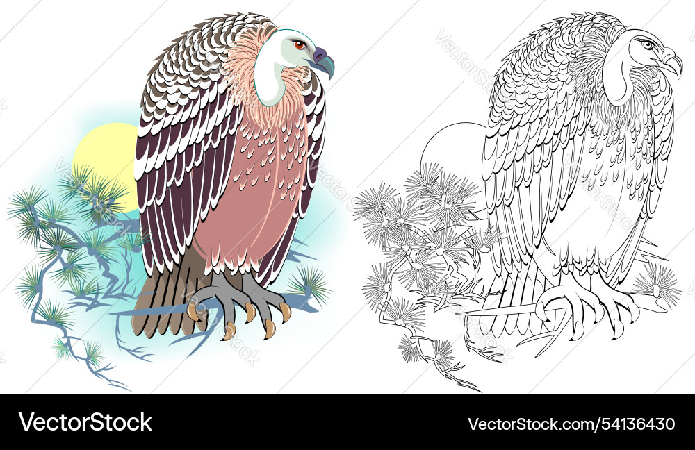 Colorful and black white pattern for coloring Vector Image