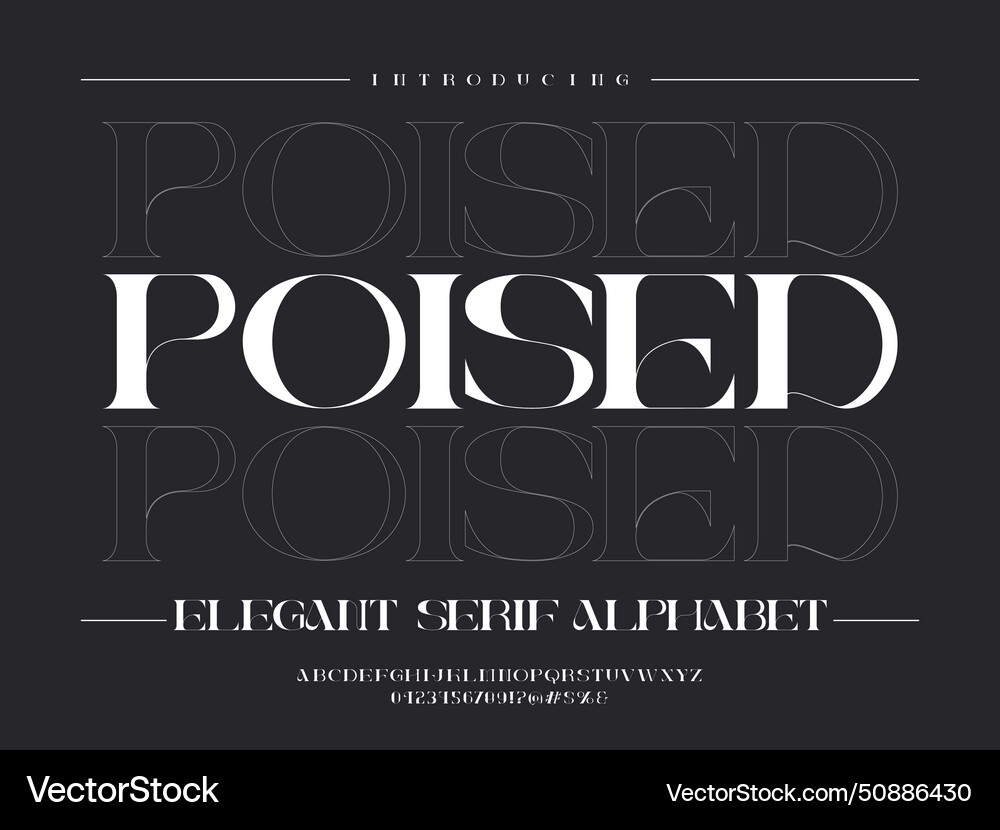 Elegant serif font Royalty Free Vector Image - VectorStock