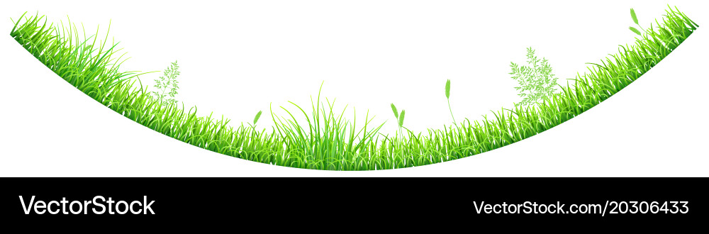 Green grass in the shape of an arc Royalty Free Vector Image