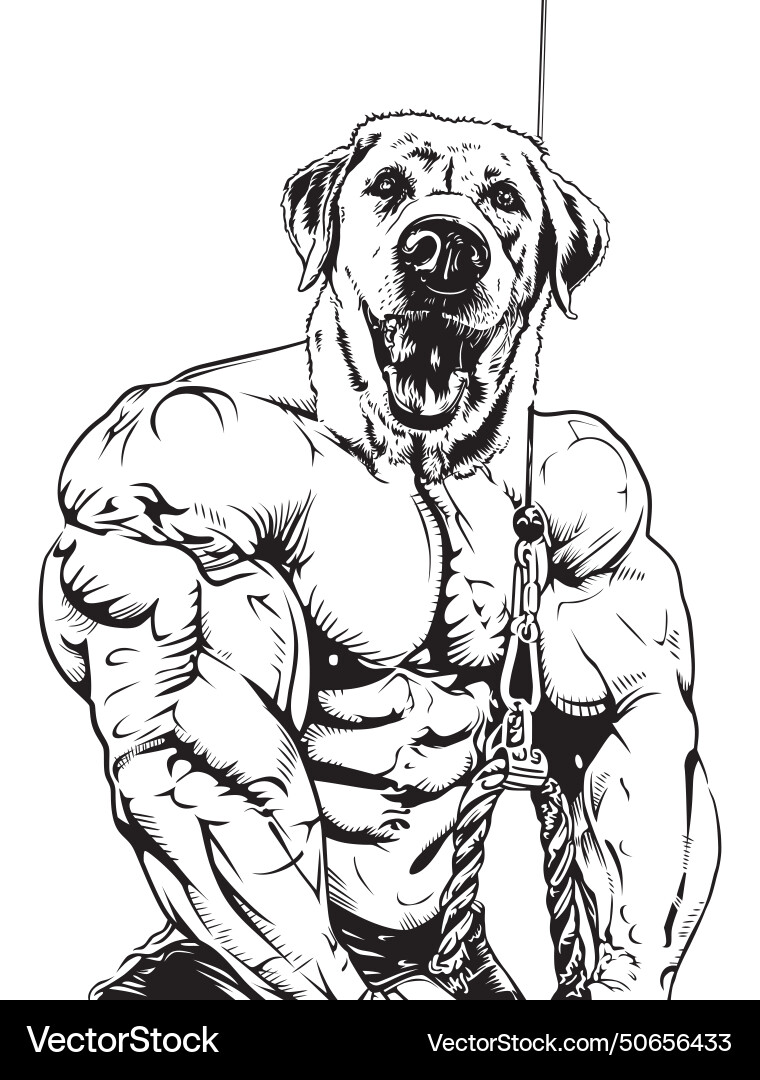 Muscular dog in training Royalty Free Vector Image