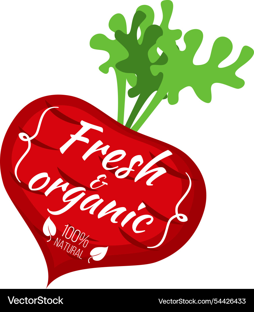Natural vegetables logo colorful beetroot shape Vector Image