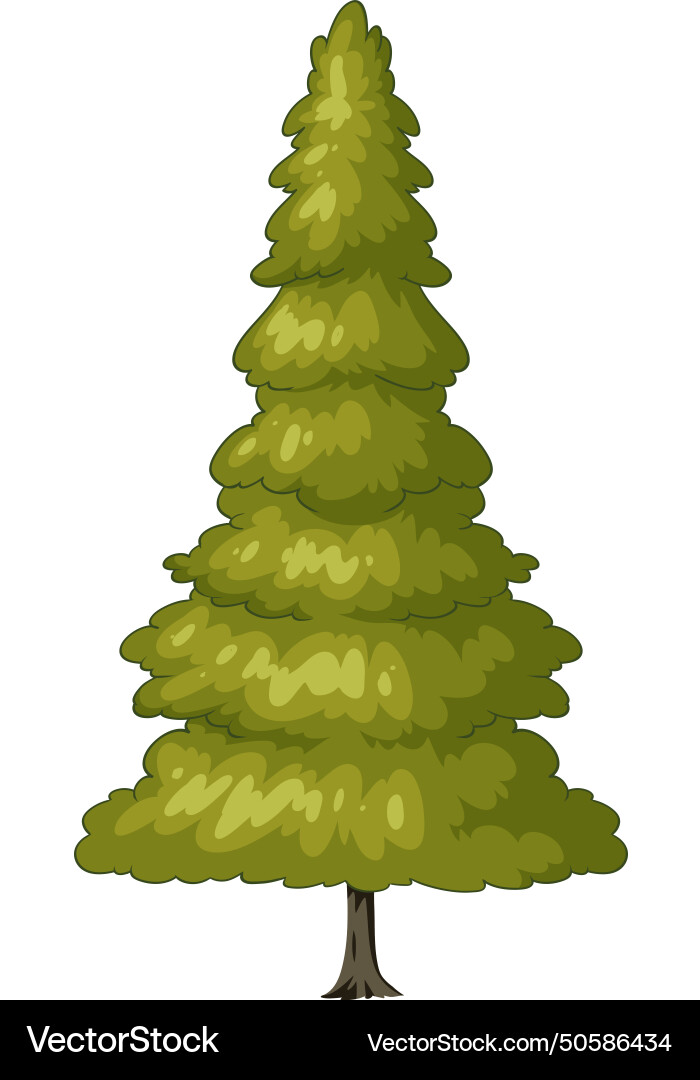 Graphic of a vibrant evergreen tree Royalty Free Vector