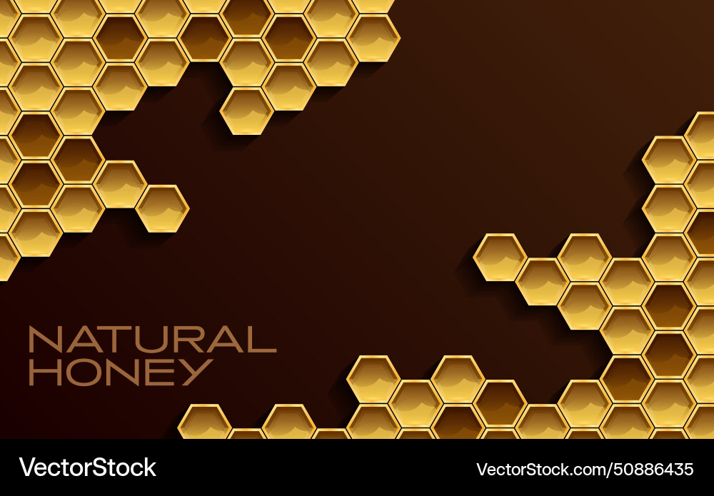 Natural bee honey Royalty Free Vector Image - VectorStock