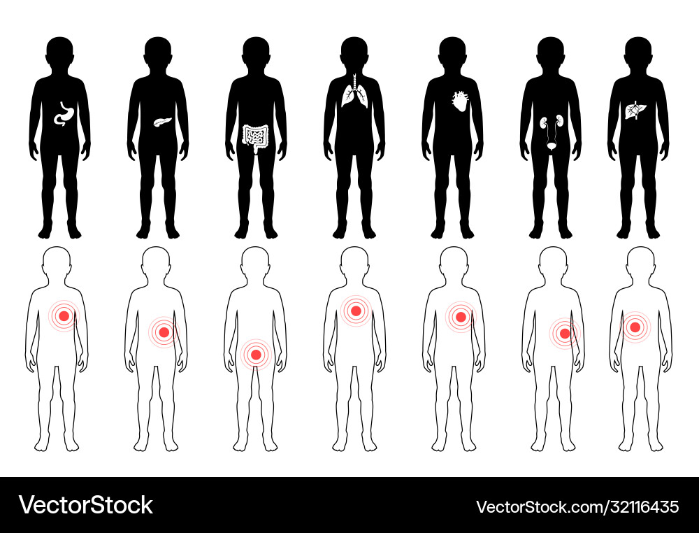 Pain in human body Royalty Free Vector Image - VectorStock