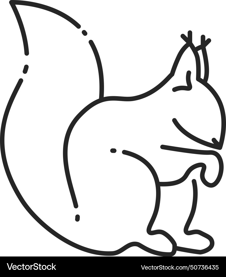 Squirrel line icon forest or park wild animal Vector Image