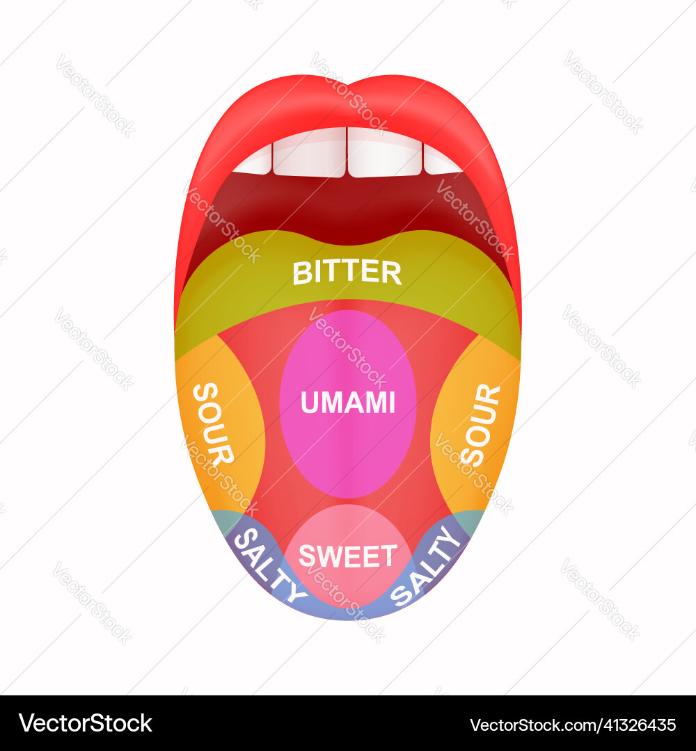 Umami Tongue Taste Map With