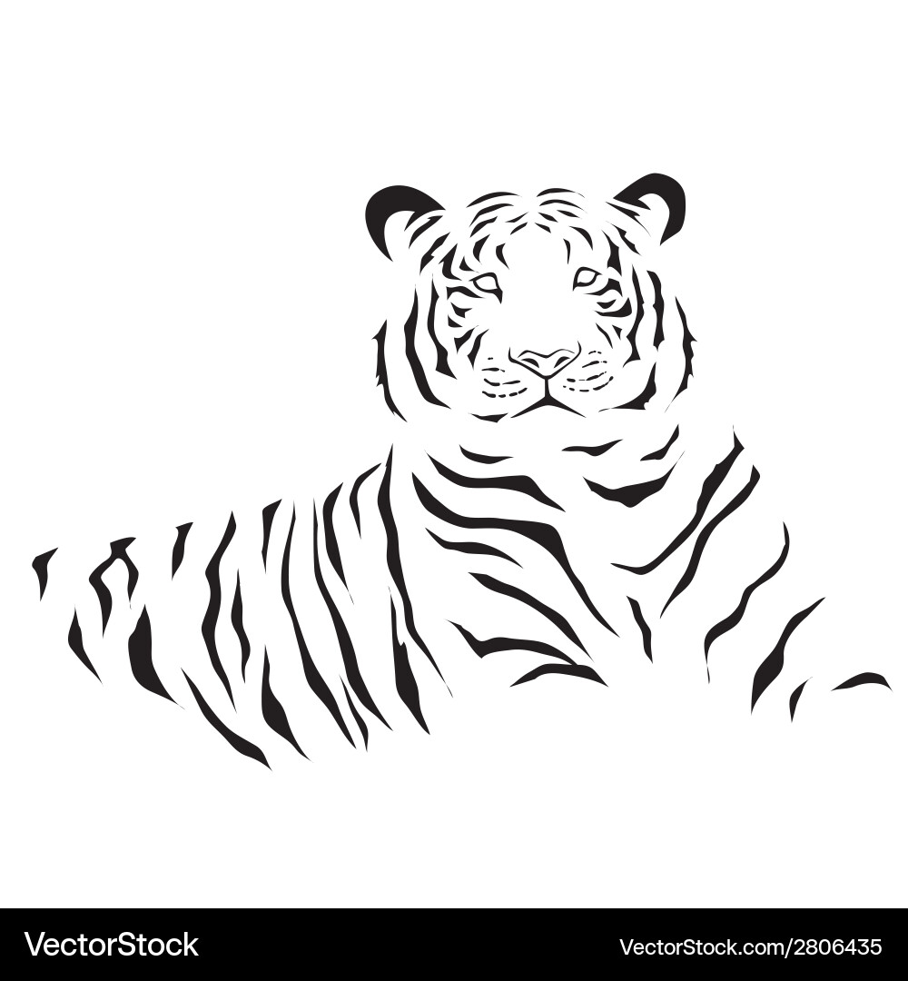 Tiger Royalty Free Vector Image - VectorStock