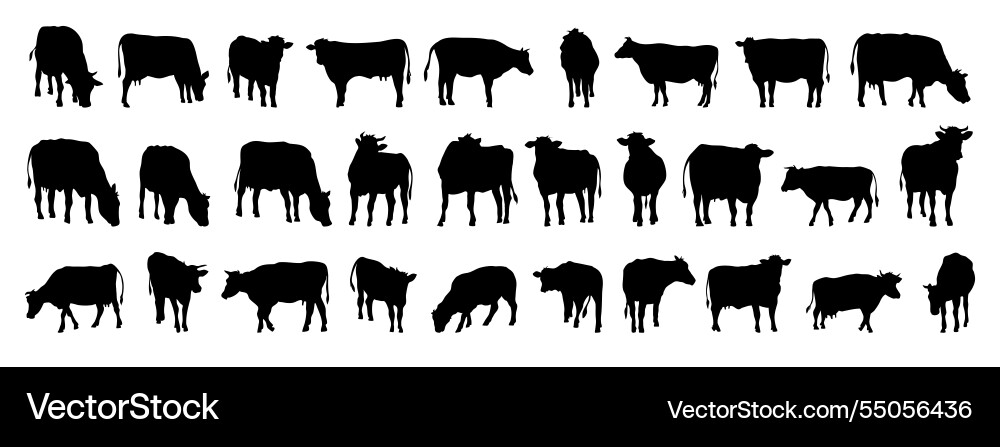 Cow and calf silhouette set isolated Royalty Free Vector