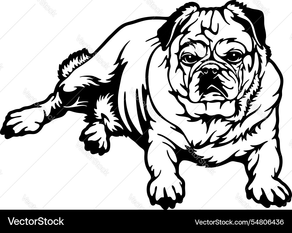 Pug dog breed - pet cut file dog Royalty Free Vector Image