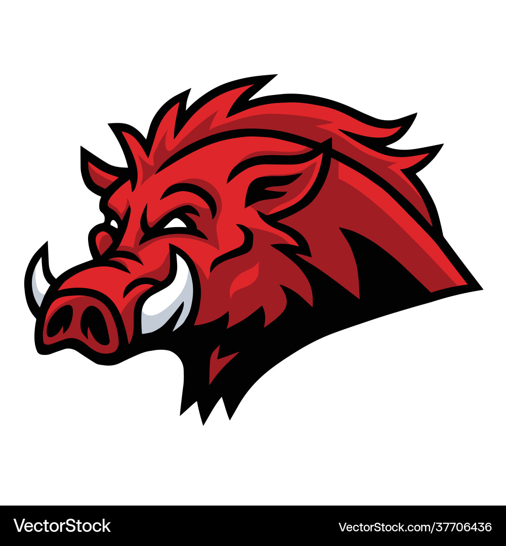 Wild hog boar head mascot logo design Royalty Free Vector