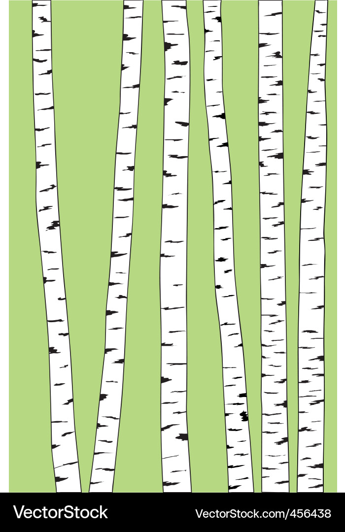 Birch Bark Vector Images (over 1,300)