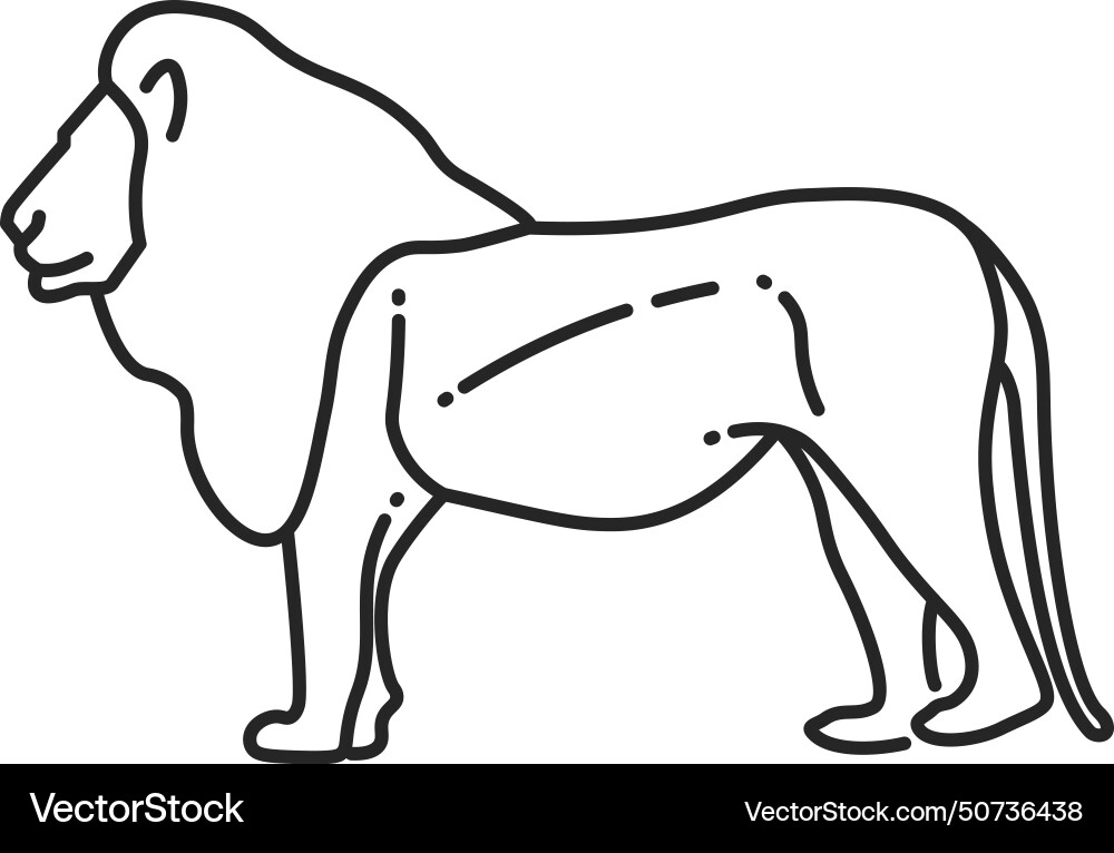 Lion line icon wild african predator animal Vector Image