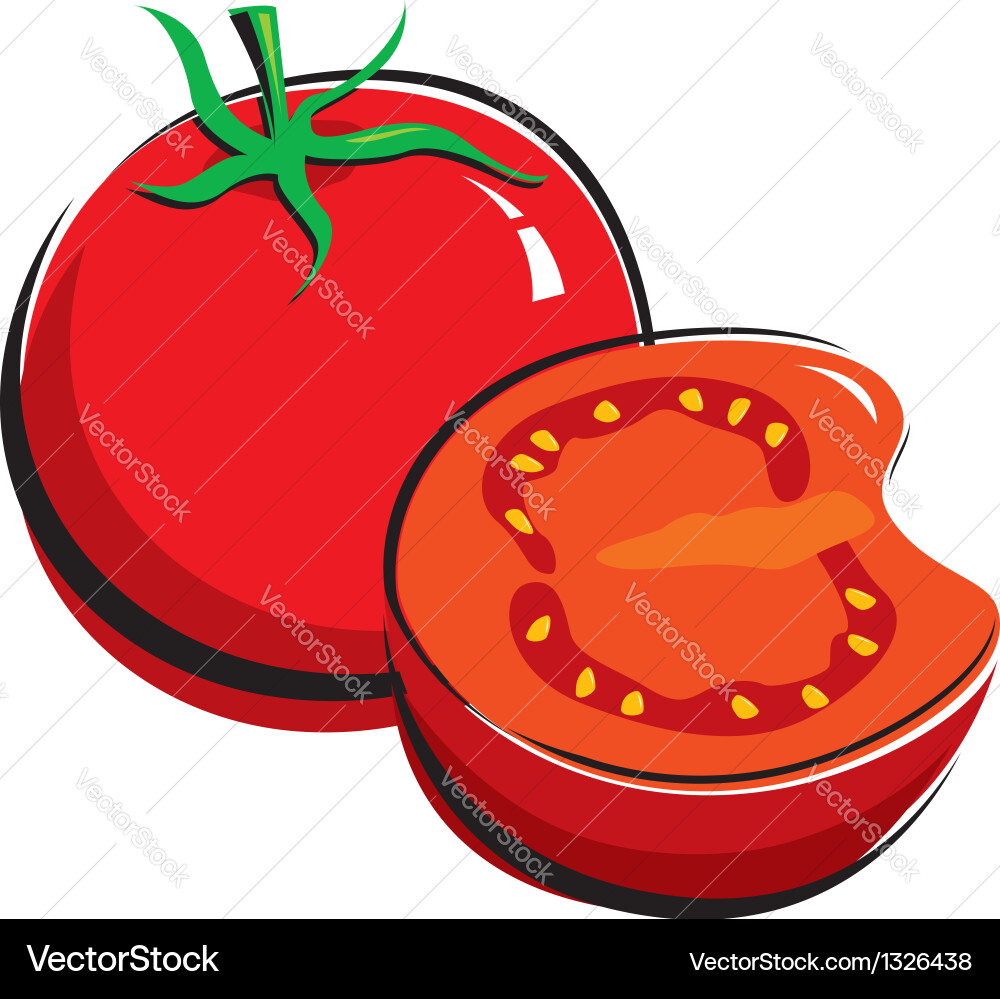 Tomato Royalty Free Vector Image - VectorStock