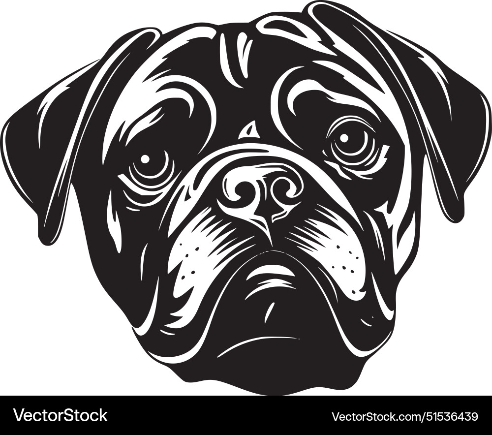 Pug - high quality logo ideal for t-shirt Vector Image
