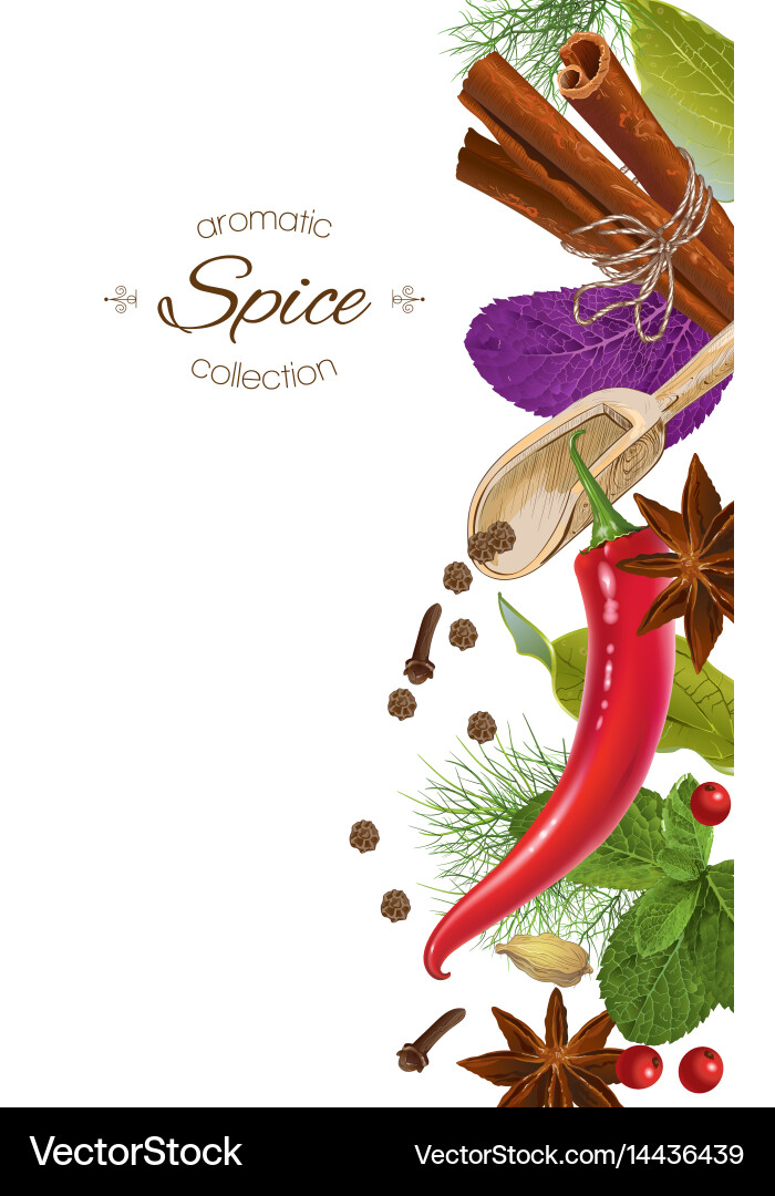 Spice vertical banner Royalty Free Vector Image