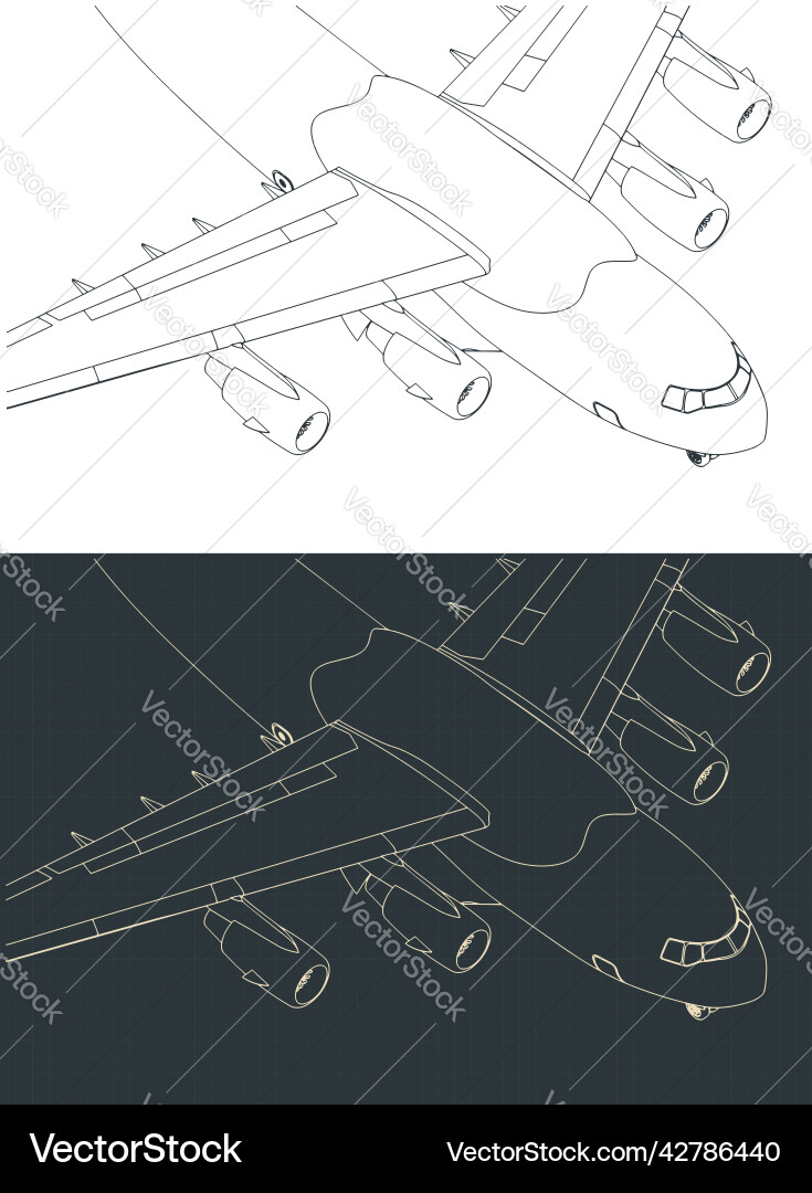 Heavy cargo aircraft Royalty Free Vector Image