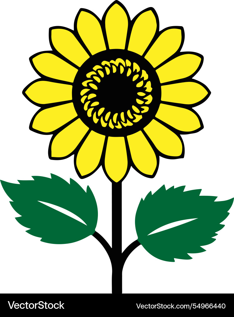 Sunflower Royalty Free Vector Image - VectorStock