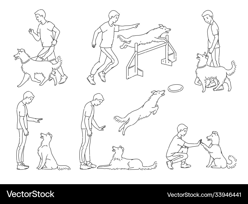 Scenes dog training with sketch line characters Vector Image