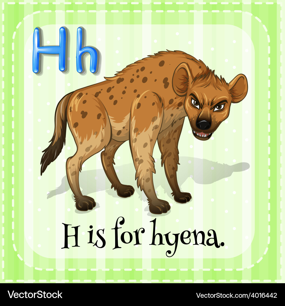 Letter h Royalty Free Vector Image - VectorStock