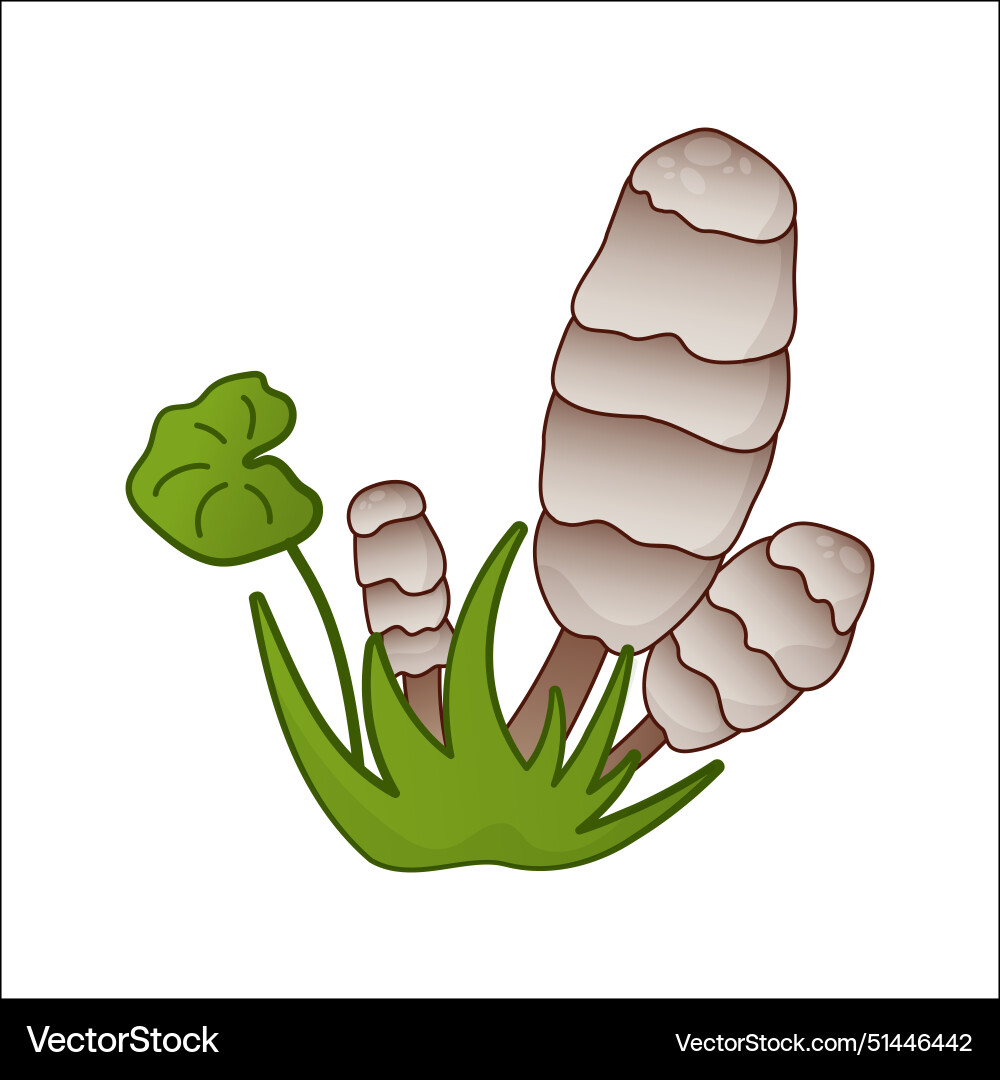 Mushroom isolated toadstool Royalty Free Vector Image