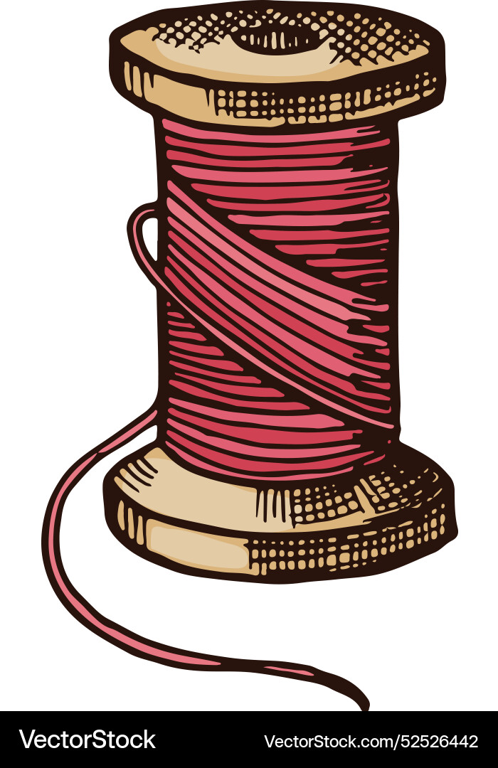 Sewing thread on wooden spool tailor hand drawn Vector Image