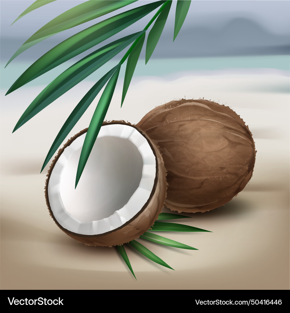 Coconuts on seaside Royalty Free Vector Image - VectorStock