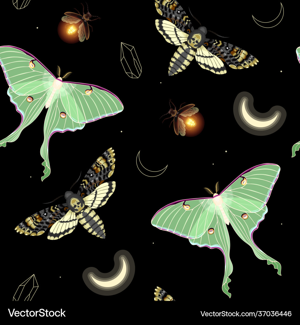 Seamless pattern with moon moth and stars Vector Image