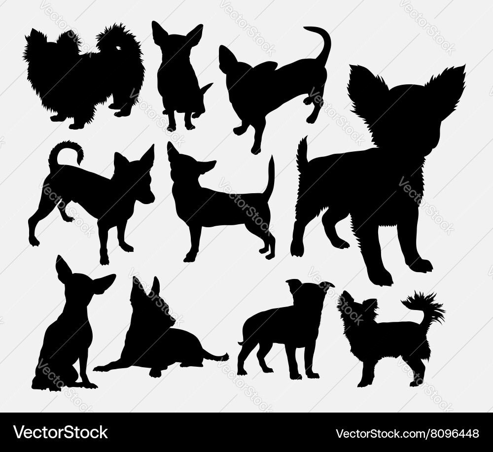Chiwawa dog pet silhouette Royalty Free Vector Image
