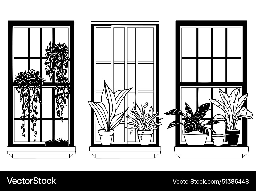 Hand-drawn window sketch vintage Royalty Free Vector Image