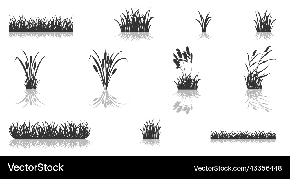 Swamp Grassilhouette mit Schilf ist gespiegelt Set