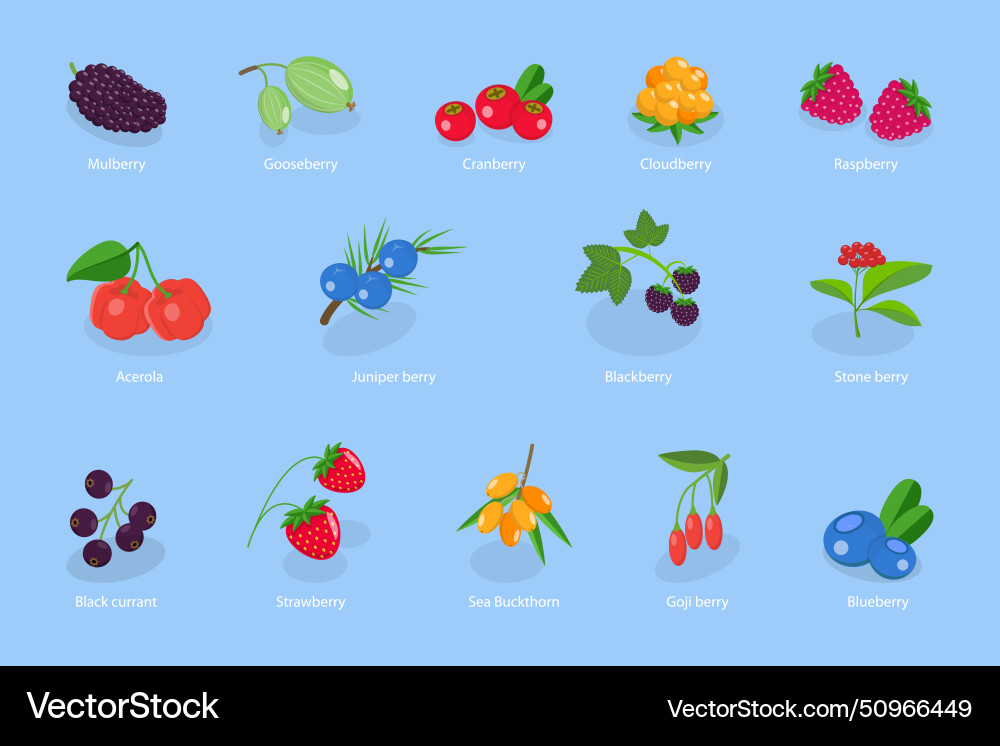 3d isometric flat set of berries Royalty Free Vector Image