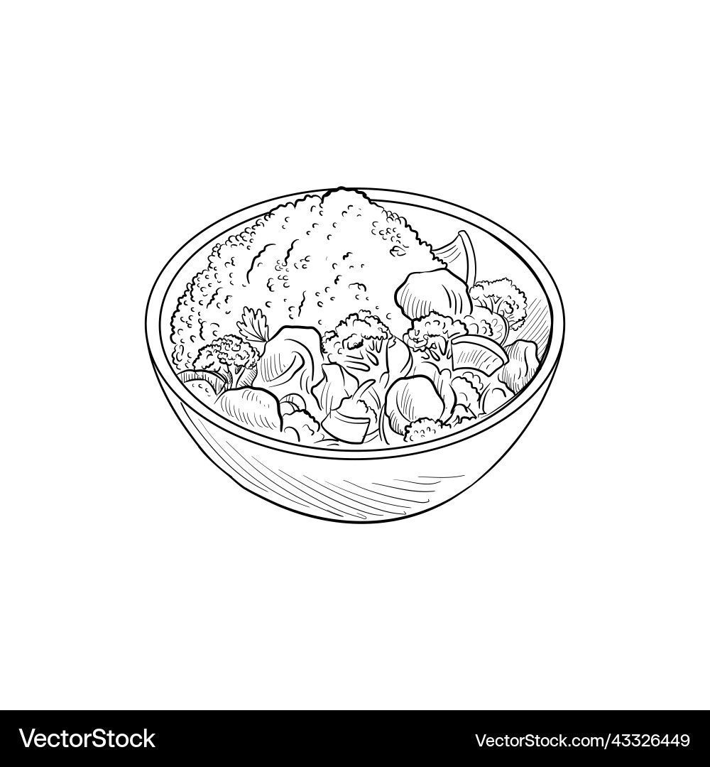 Drawing bowl with ricebeef and vegetables Vector Image