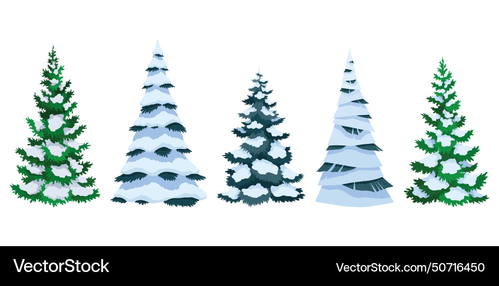 Fir trees with snow collection winter Royalty Free Vector