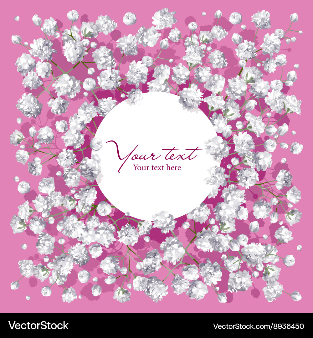Gypsophila circle Royalty Free Vector Image - VectorStock
