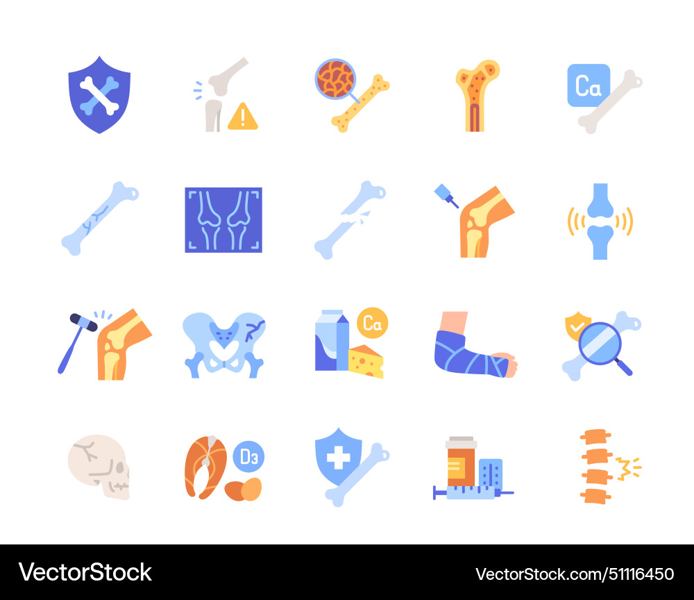 Set of bone colorful icons Royalty Free Vector Image