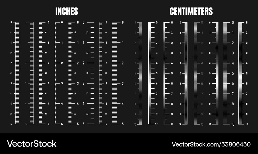Vertical centimeter and inch scale for measuring Vector Image