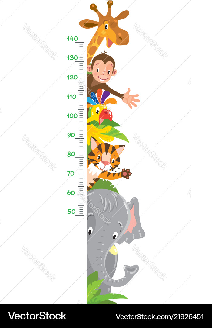 Giraffe monkey tiger meter wall or height chart Vector Image