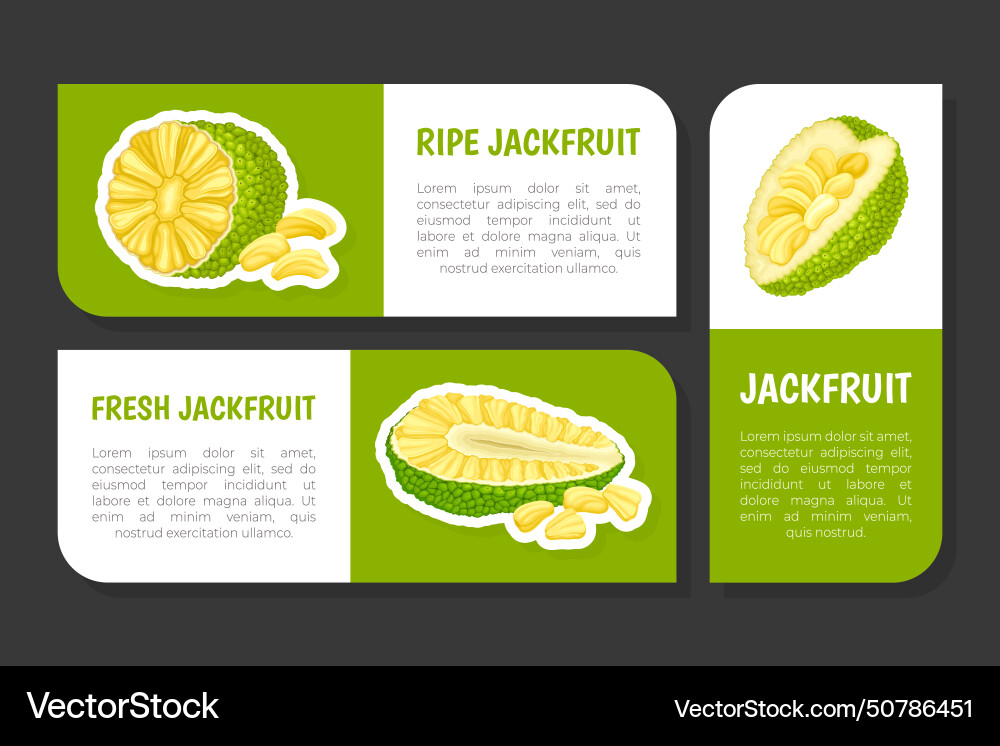 Jackfruit natural label design with green tropical