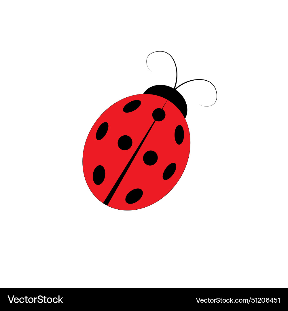 Ladybird isolated Royalty Free Vector Image - VectorStock