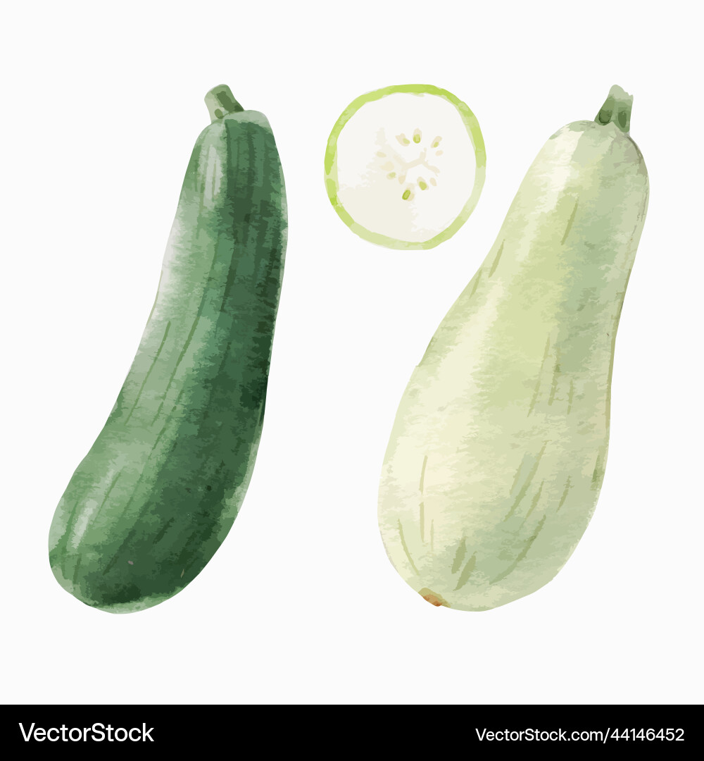 Beautiful stock clip art Royalty Free Vector Image