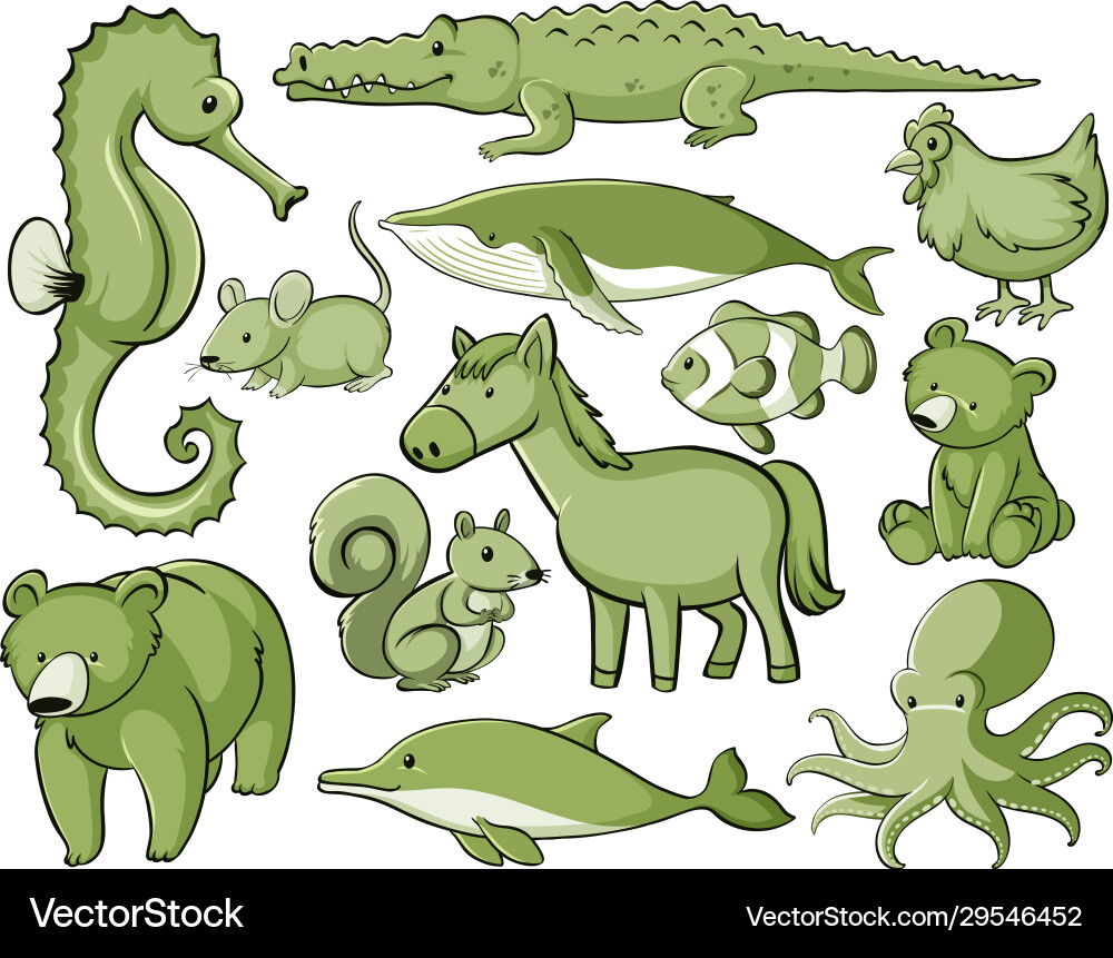 Isolated set wild animals Royalty Free Vector Image