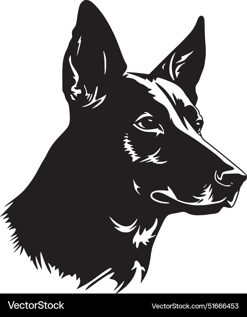 Australian kelpie - black and white isolated icon Vector Image